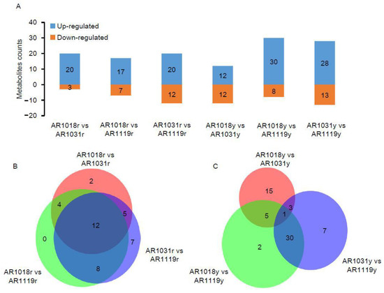 Integrative Transcriptomic and Metabolomic Analysis Reveals the ...