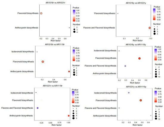 Integrative Transcriptomic and Metabolomic Analysis Reveals the ...
