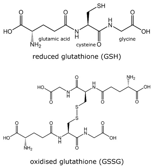 Glutathione for Food and Health Applications with Emphasis on ...