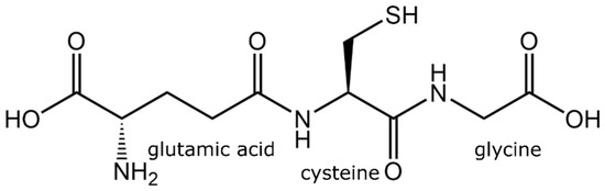 Glutathione for Food and Health Applications with Emphasis on ...