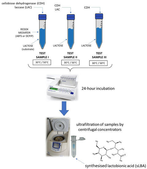 Multi-Enzymatic Synthesis of Lactobionic Acid Using Wood-Degrading ...