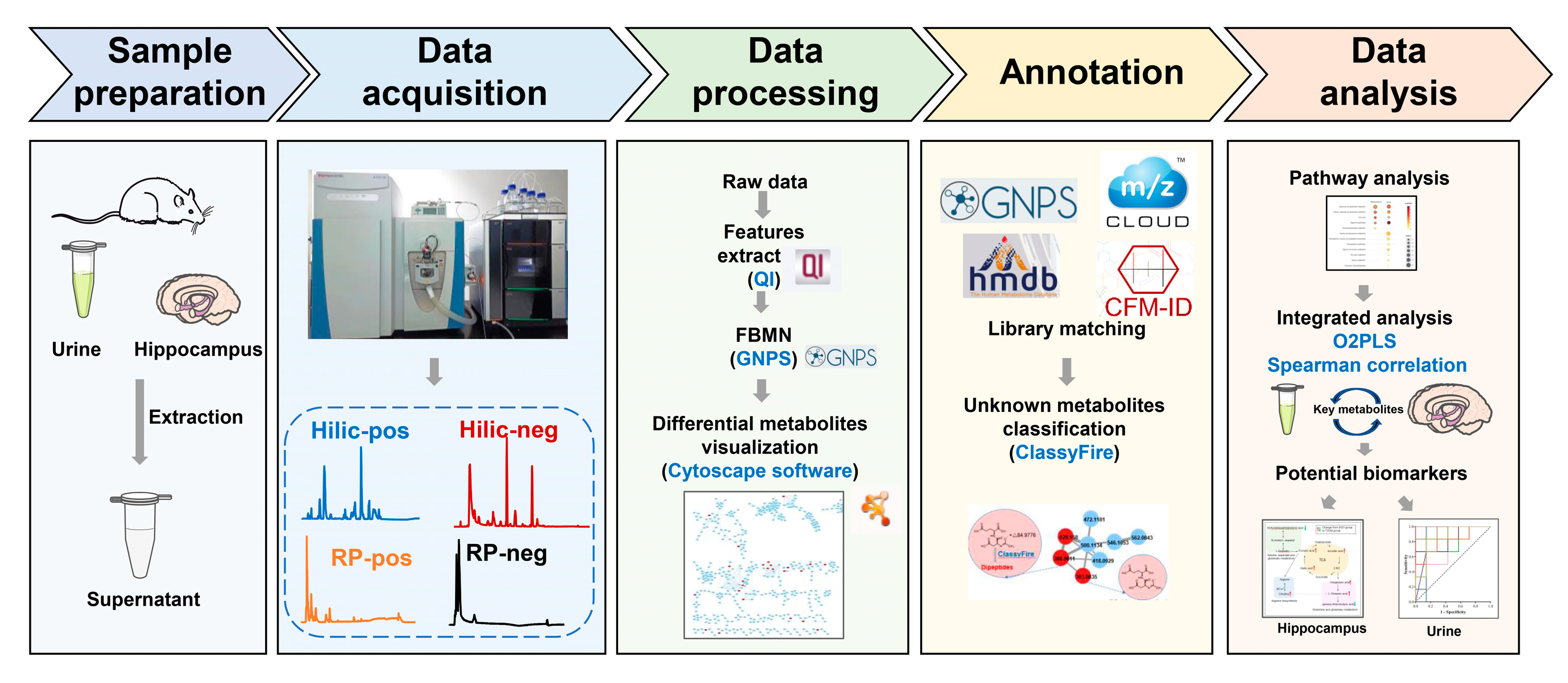 Feature-Based Molecular Networking Facilitates the Comprehensive ...