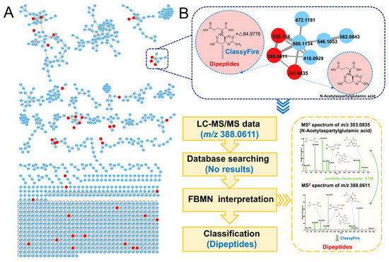 Feature-Based Molecular Networking Facilitates the Comprehensive ...