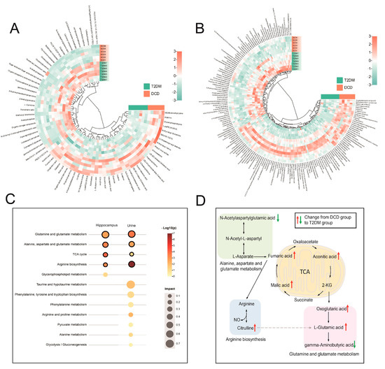 Feature-Based Molecular Networking Facilitates the Comprehensive ...