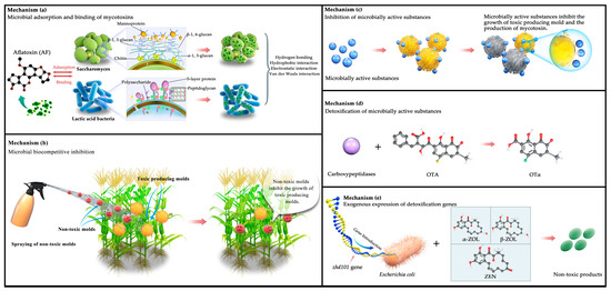 Mycotoxin Contamination Status of Cereals in China and Potential ...