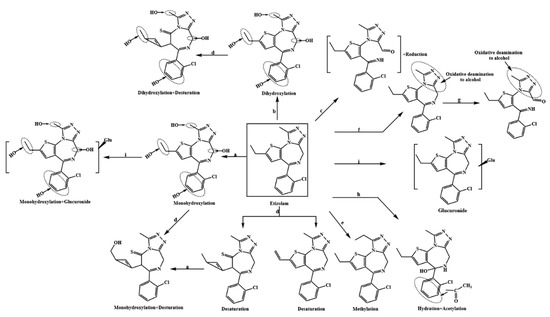 Metabolic Profile Analysis of Designer Benzodiazepine Etizolam in ...