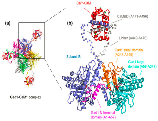 Role of Gamma-Aminobutyric Acid in Plant Defense Response