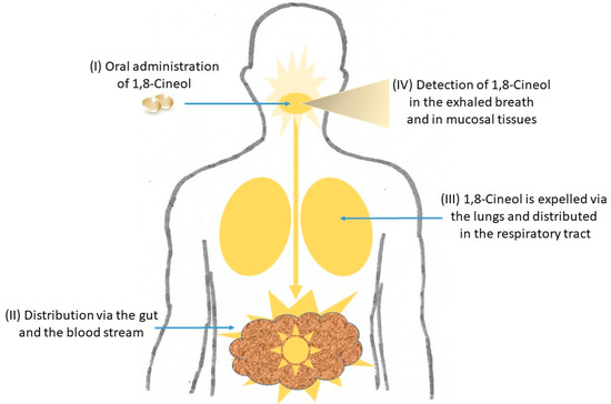 Modes of Action of 1,8-Cineol in Infections and Inflammation