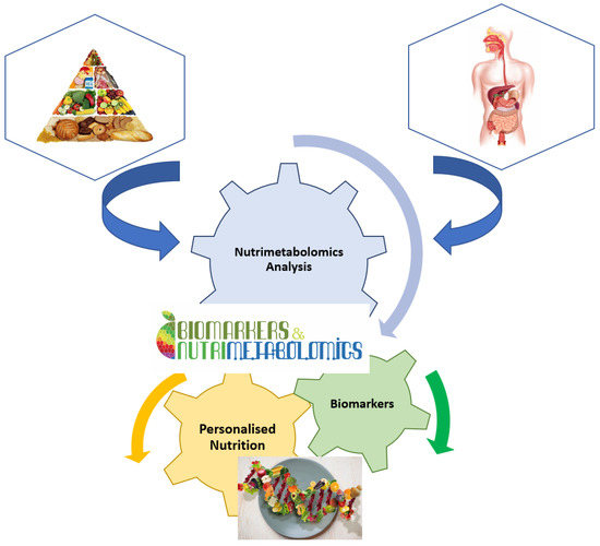 Integrating (Nutri-)Metabolomics into the One Health Tendency—The Key ...
