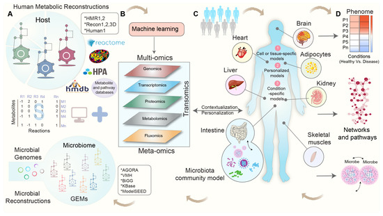 Integrating Omics Data in Genome-Scale Metabolic Modeling: A Methodological Perspective for ...
