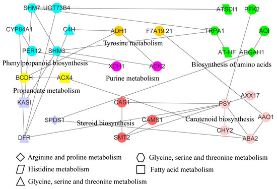 Integration of Metabolome and Transcriptome Reveals the Major Metabolic Pathways and Potential ...