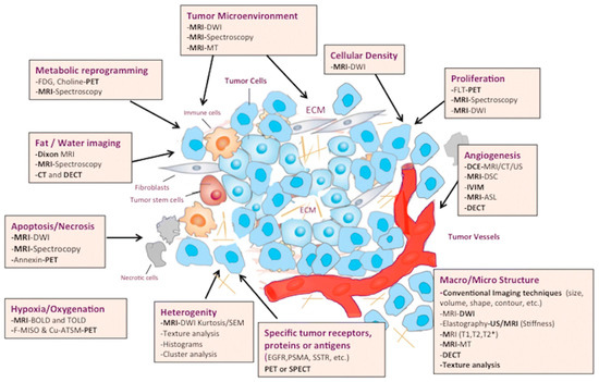 Imaging and Spectroscopic-Based Methods to Understand Cancer Metabolism ...
