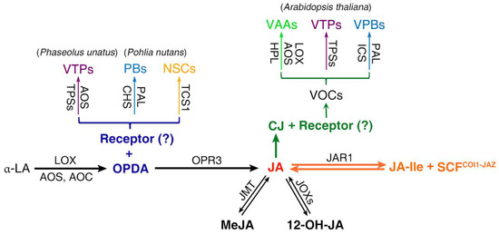 Metabolites | Free Full-Text | Jasmonates Coordinate Secondary with ...