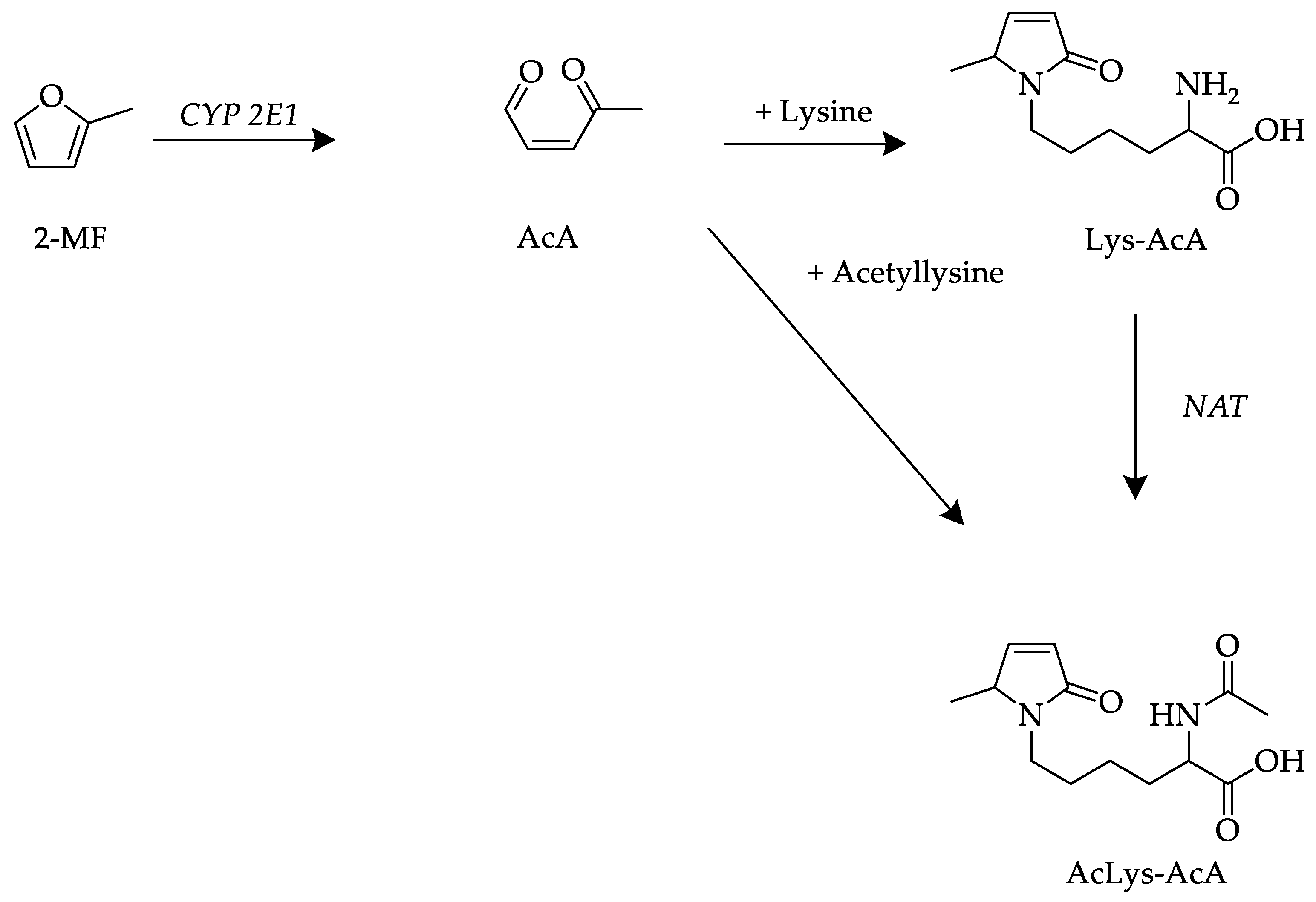 Metabolites | Free Full-Text | Stable Isotope Dilution Analysis (SIDA ...