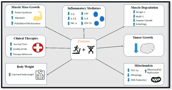 Metabolites | Free Full-Text | Cancer Cachexia: Underlying Mechanisms ...