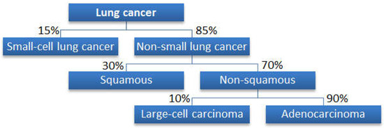 Two-Stage Deep-Learning Classifier for Diagnostics of Lung Cancer Using ...