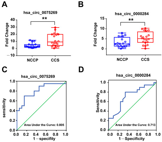 Circulating Exosomal CircRNAs as Diagnostic Biomarkers for Chronic Coronary Syndrome