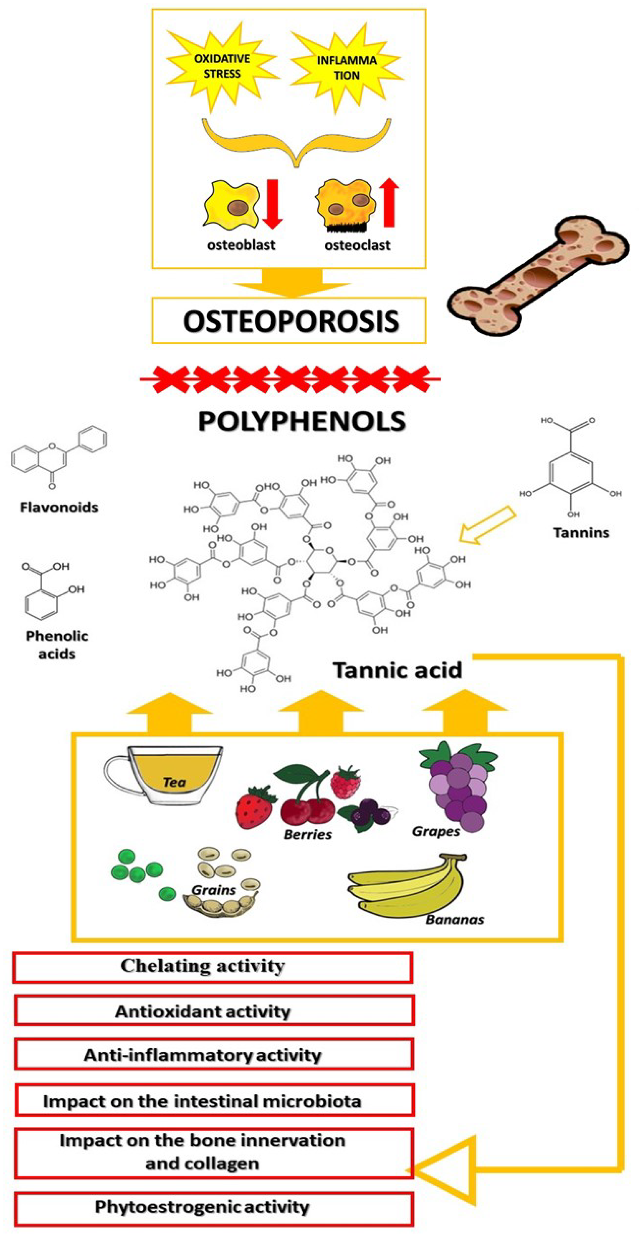 Metabolites Free Full Text The Impact Of Tannic Acid Consumption On