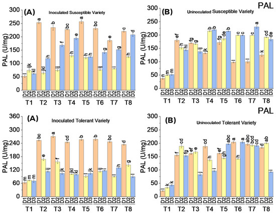 Elicitor-Driven Defense Mechanisms: Shielding Cotton Plants against the ...