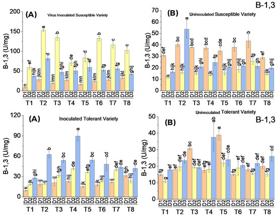 Elicitor-Driven Defense Mechanisms: Shielding Cotton Plants against the ...
