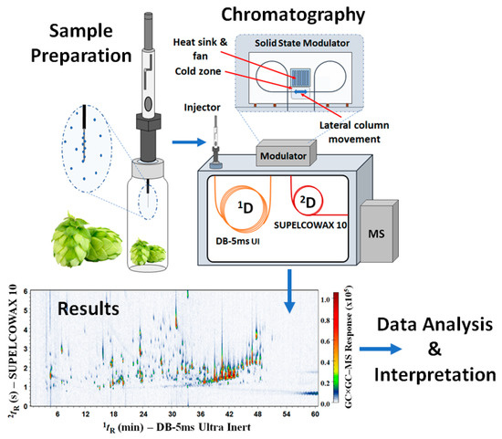 Comprehensive Two-Dimensional Gas Chromatography–Mass Spectrometry as a Tool for the Untargeted ...