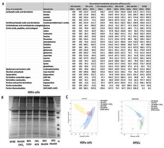 Comparison of Various Extraction Approaches for Optimized Preparation ...