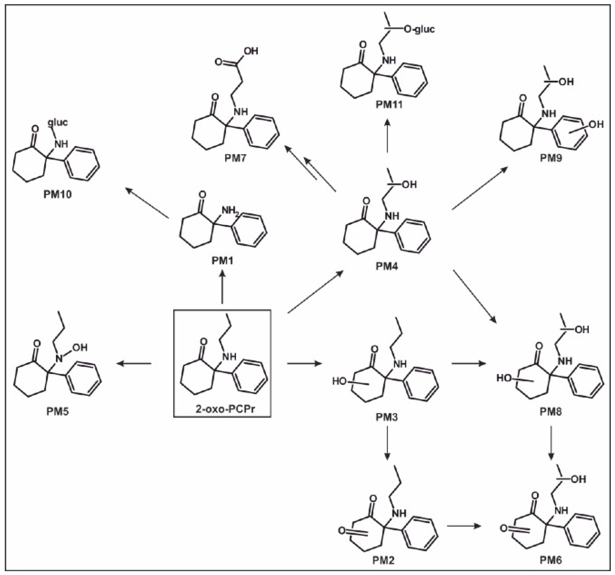 In Vivo and In Vitro Metabolic Fate and Urinary Detectability of Five ...