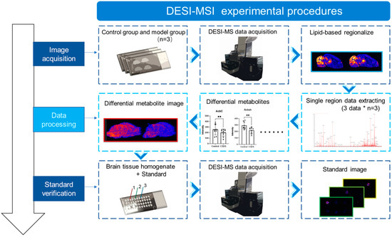 Desorption Electrospray Ionization Mass Spectrometry Imaging Techniques ...