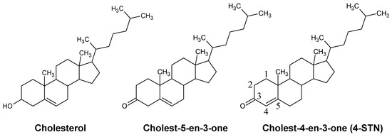 Metabolites | Free Full-Text | Dietary Cholest-4-en-3-one, a ...