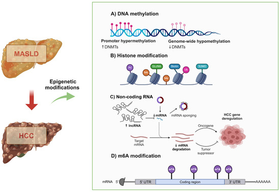 Crosstalk between Epigenetics and Metabolic Reprogramming in Metabolic ...