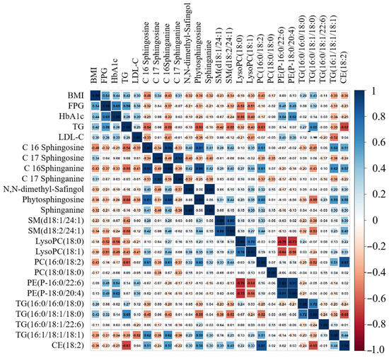 Untargeted and Targeted Lipidomics Unveil Dynamic Lipid Metabolism ...