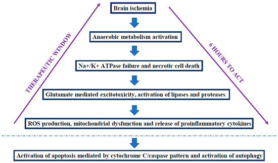Antioxidant Therapy in Neonatal Hypoxic Ischemic Encephalopathy ...