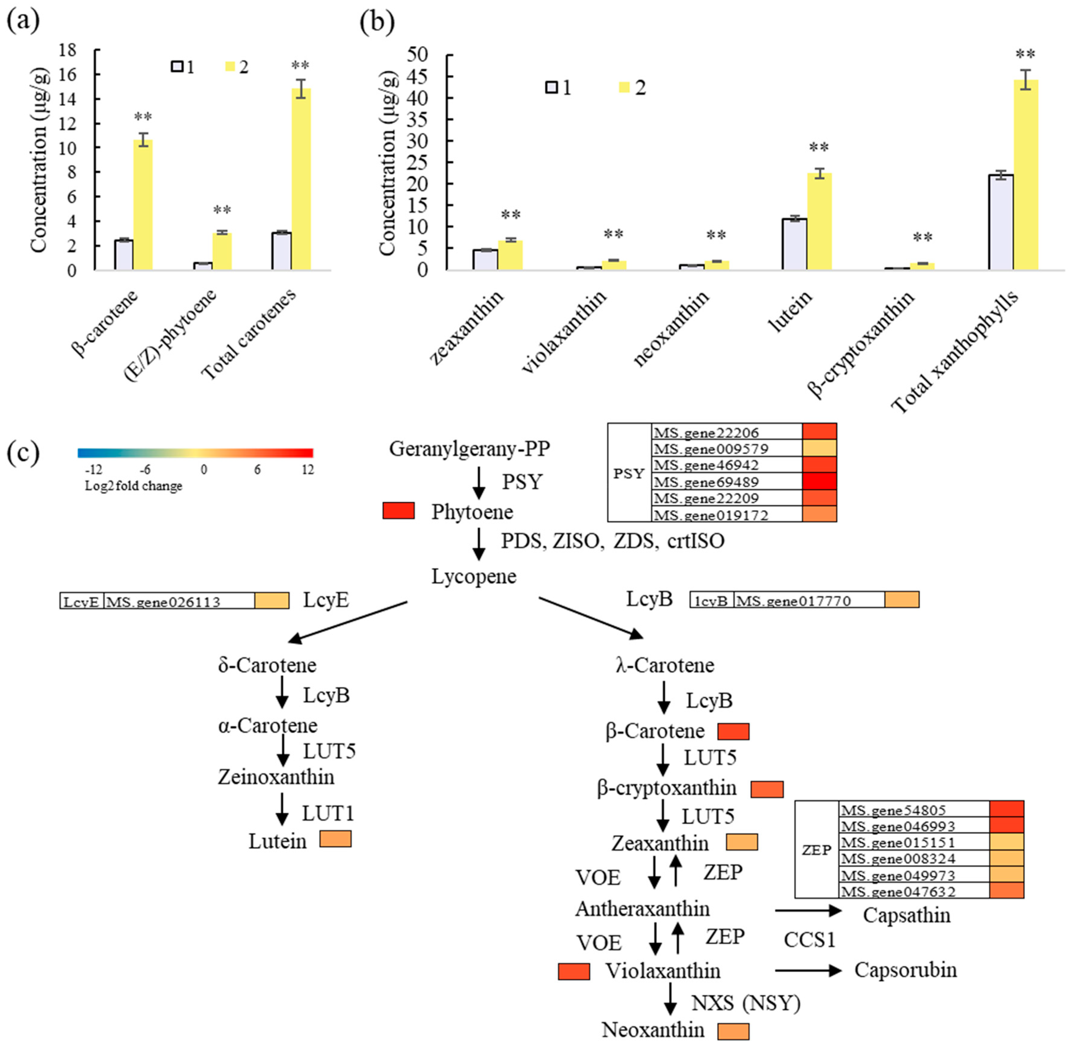 Integrated Analyses of the Mechanism of Flower Color Formation in ...