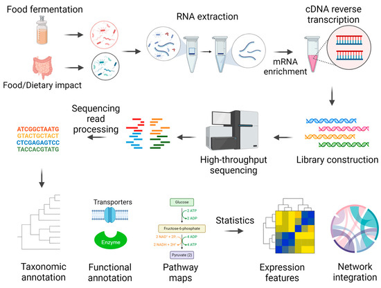 Metatranscriptomics for Understanding the Microbiome in Food and Nutrition Science