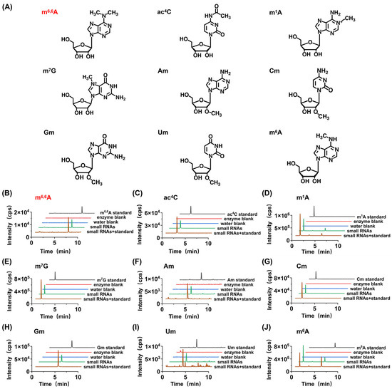 Comprehensive Analysis of Small RNA Modifications in Arabidopsis ...