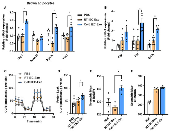 Intestinal Epithelial-Derived Exosomes Under Cold Stimulation Promote ...