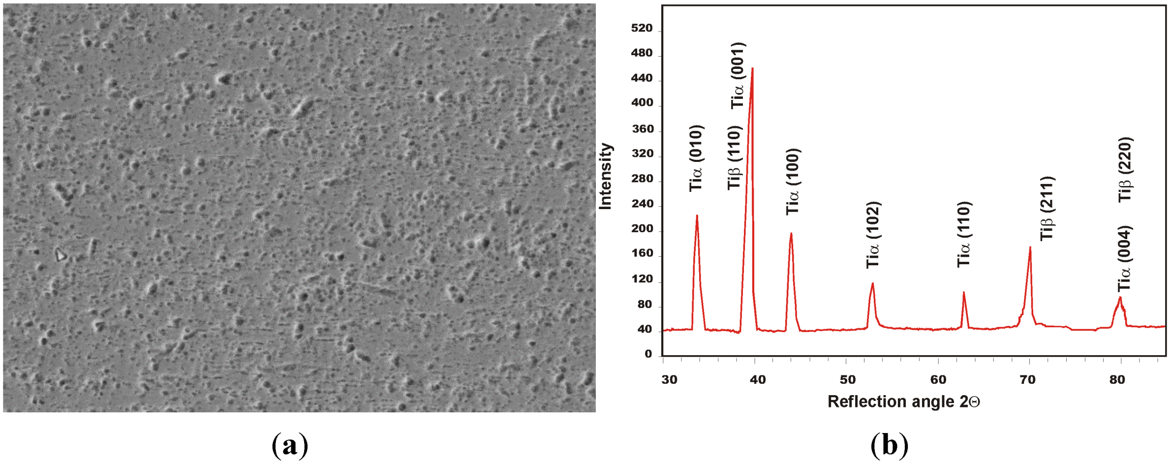 Titanium Matrix Composite Ti/TiN Produced by Diode Laser Gas Nitriding