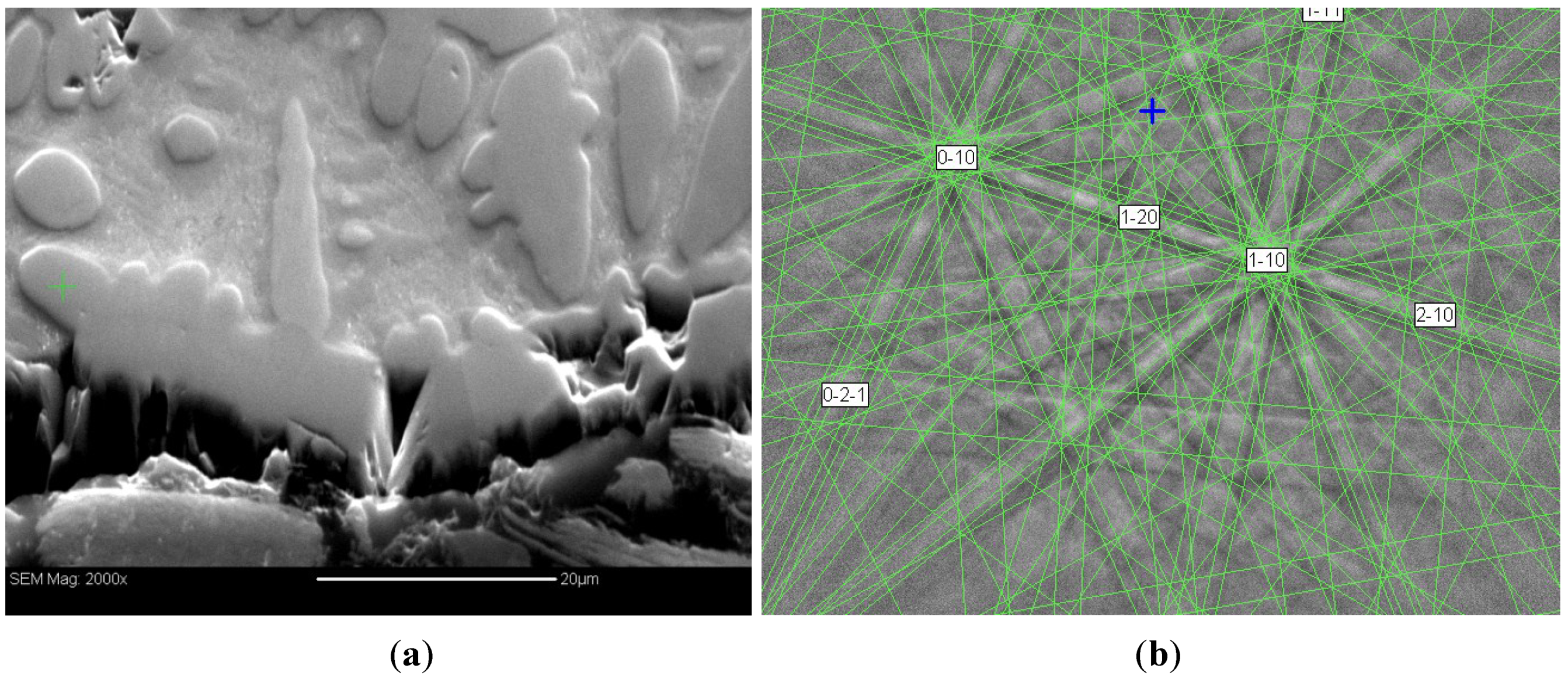 Titanium Matrix Composite Ti/TiN Produced by Diode Laser Gas Nitriding