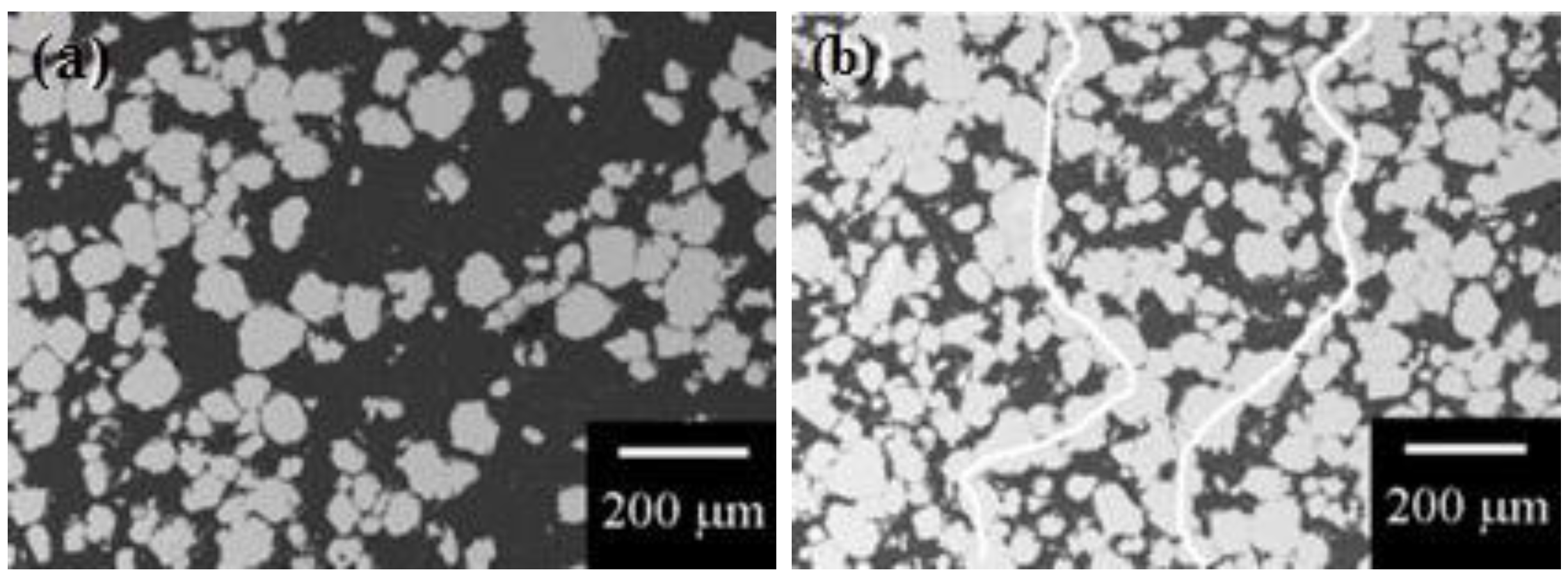 Processing and Properties of Aluminum and Magnesium Based Composites ...