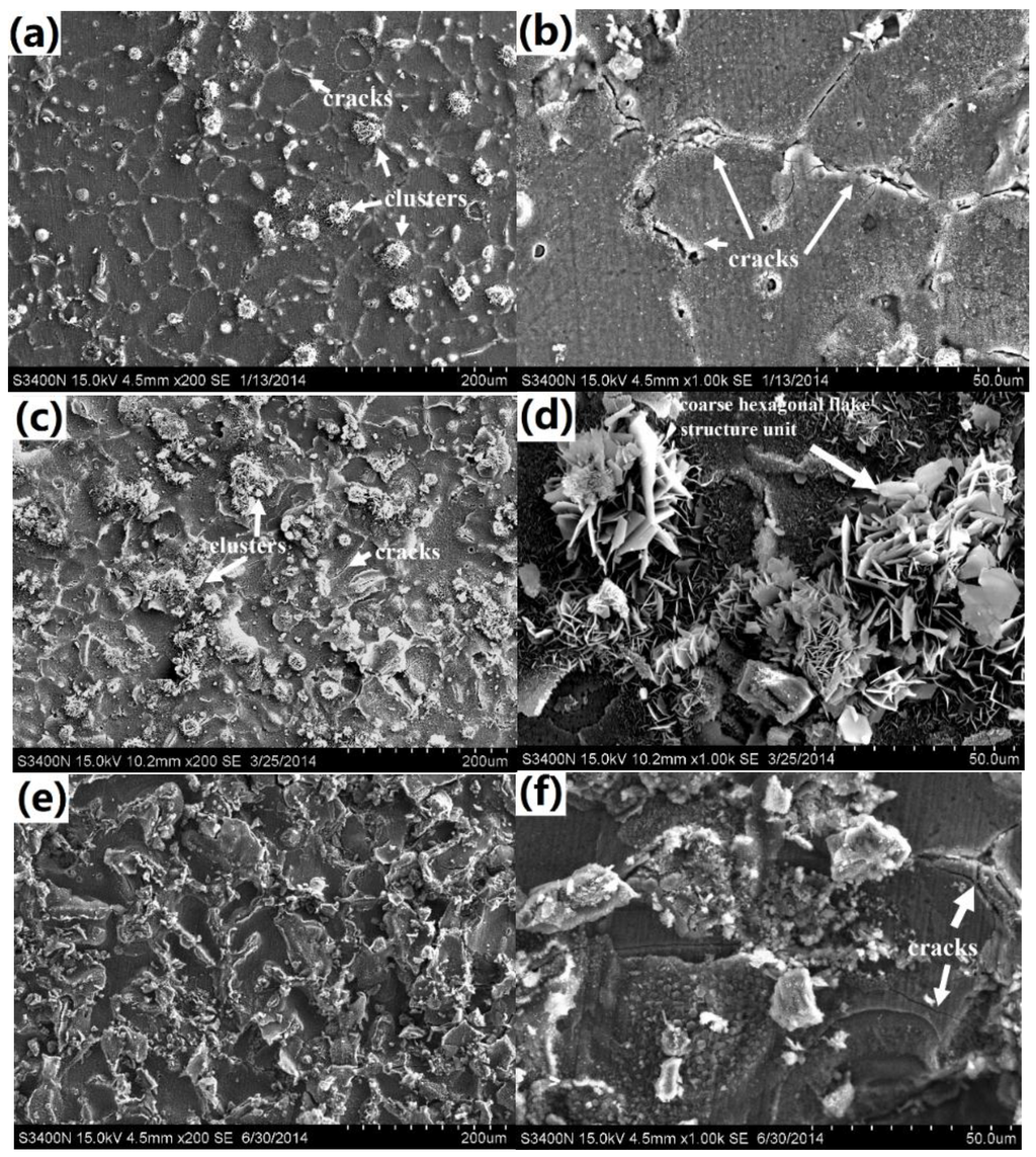 Metals | Special Issue : Oxidation of Metals