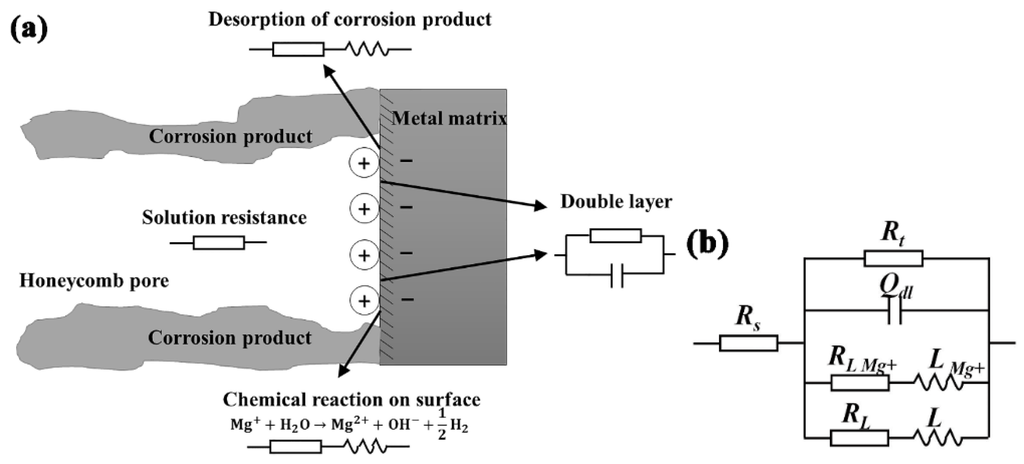 Metals | Special Issue : Oxidation of Metals