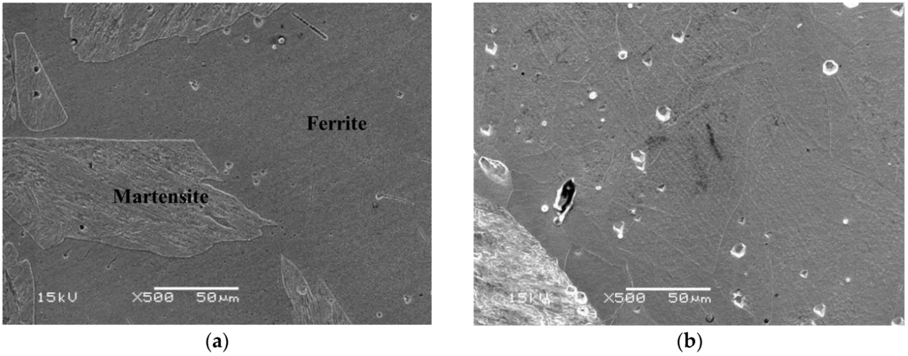 Metals | Special Issue : Metallic Biomaterials