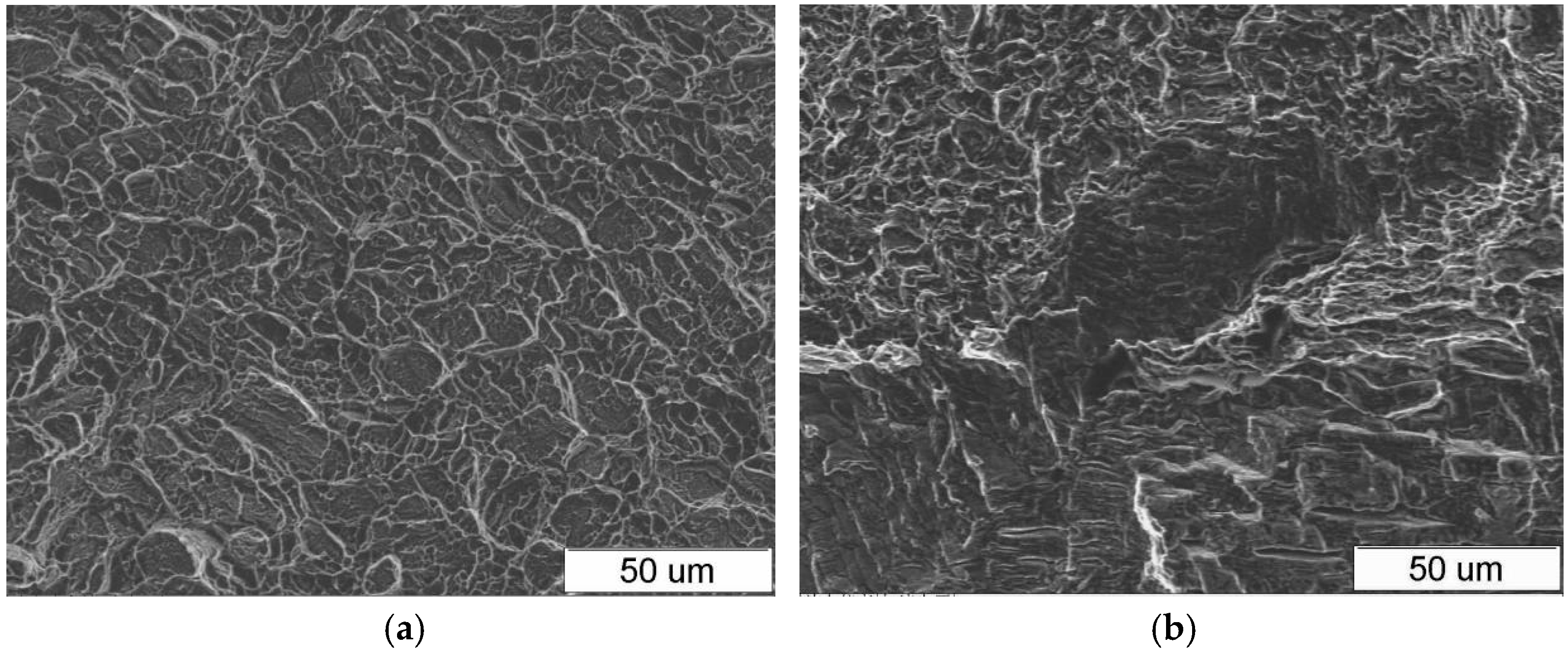 Metals | Free Full-Text | Effect of Microstructure on Fracture ... Metals | Free Full-Text | Effect of Microstructure on Fracture ...
