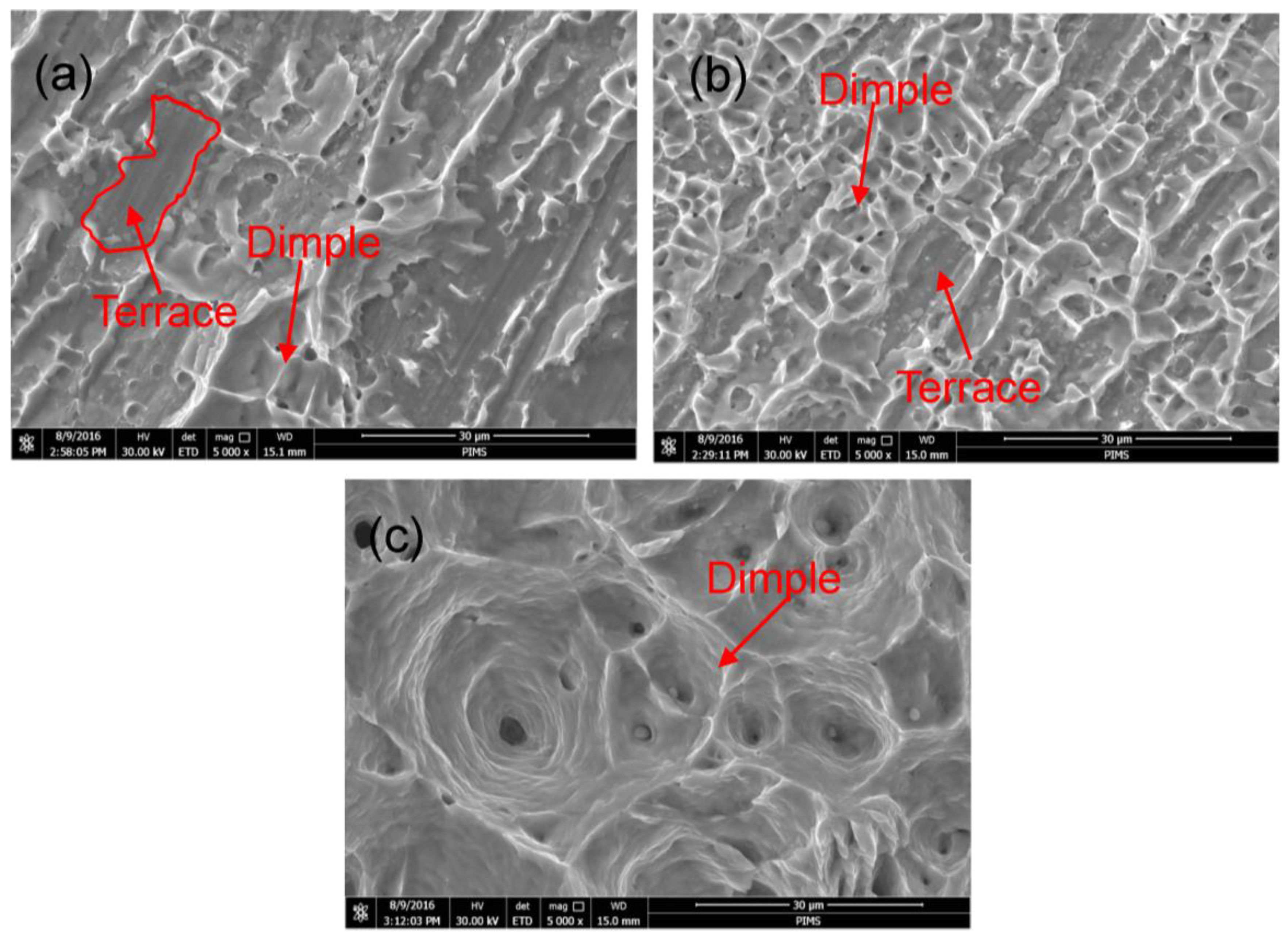 The Interfacial Microstructure and Mechanical Properties of Diffusion ...