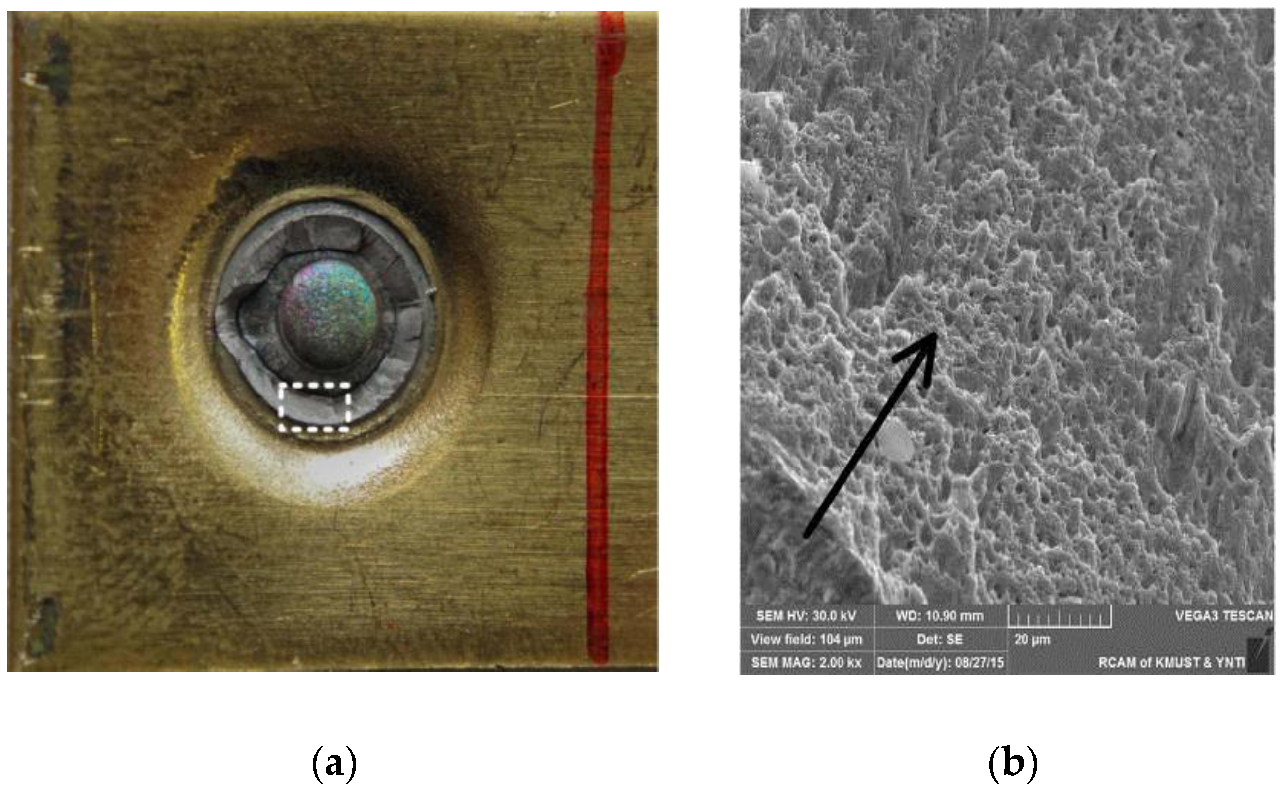 Fretting Behavior of SPR Joining Dissimilar Sheets of Titanium and ...
