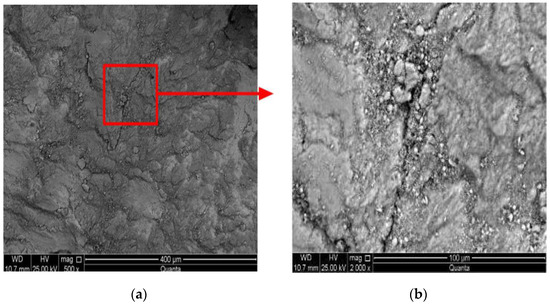 Fretting Behavior of SPR Joining Dissimilar Sheets of Titanium and ...