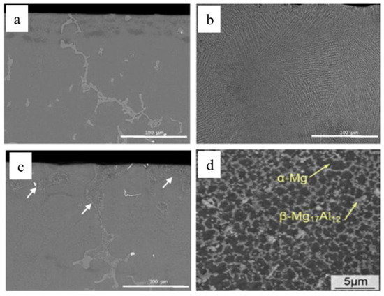 Metals | Free Full-Text | Selective Laser Melting of Magnesium and ...