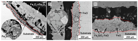 The Morphologies of Different Types of Fe2SiO4–FeO in Si-Containing Steel