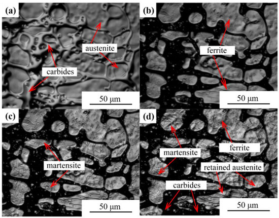 Effects of Austenitizing Conditions on the Microstructure of AISI M42 ...