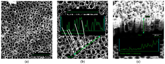 TiO2 Nanotubes on Ti Dental Implant. Part 1: Formation and Aging in ...